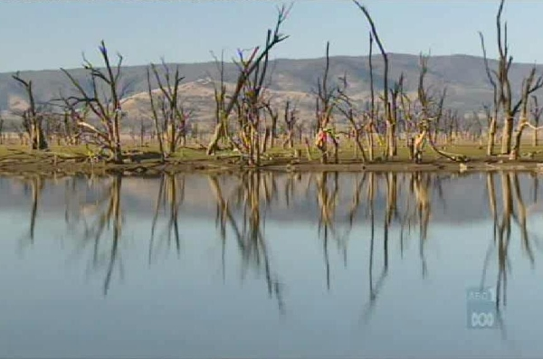 Australia’s Murray-Darling Basin withered under historic drought ...